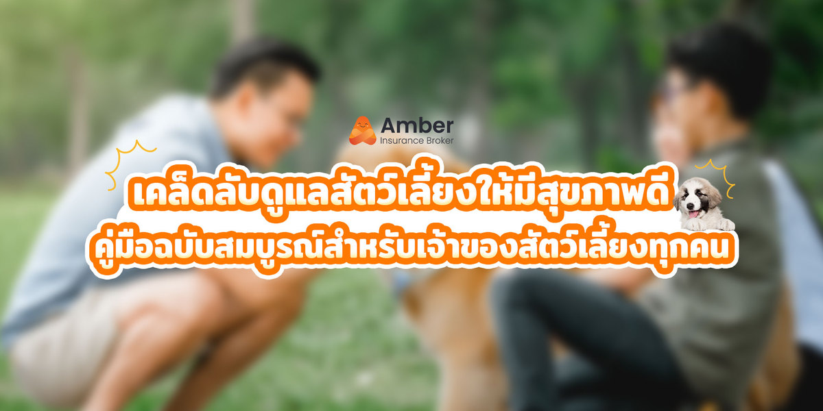 เคล็ดลับดูแลสัตว์เลี้ยงให้มีสุขภาพดี : คู่มือฉบับสมบูรณ์สำหรับเจ้าของ ...