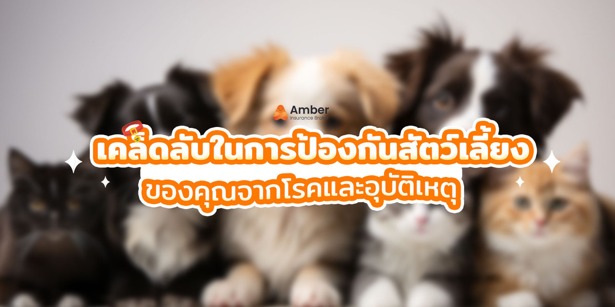 เคล็ดลับในการป้องกันสัตว์เลี้ยงของคุณจากโรคและอุบัติเหตุ - Amber Insurance